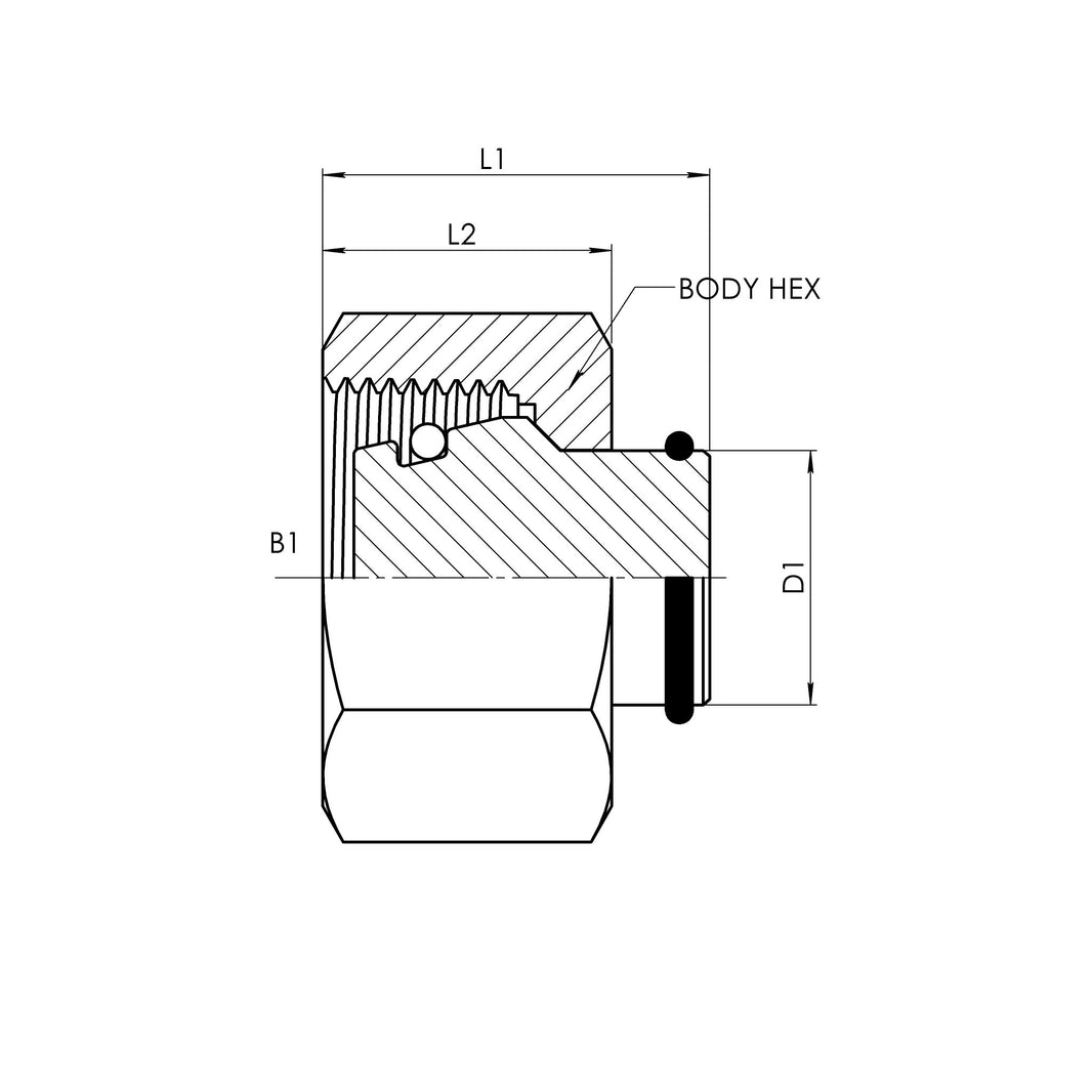 International/Metric › DIN Metric Bite Type Fittings – Page 2 – OM ...